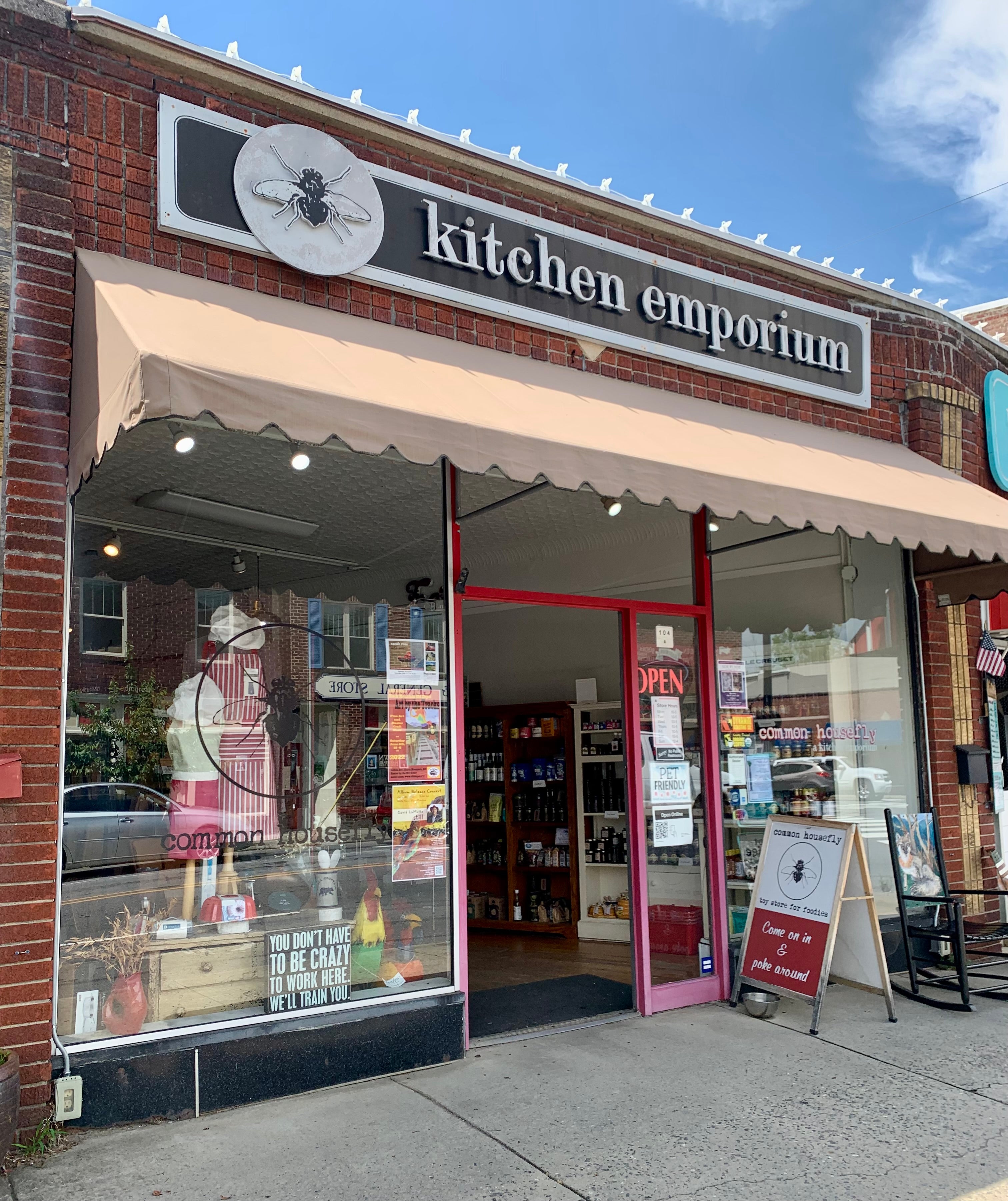 Common Housefly: Toy Store for Foodies