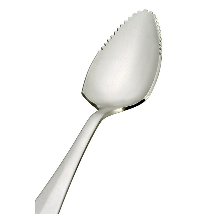 HIC Kitchen Grapefruit Spoon, Set of 2 | Common Housefly