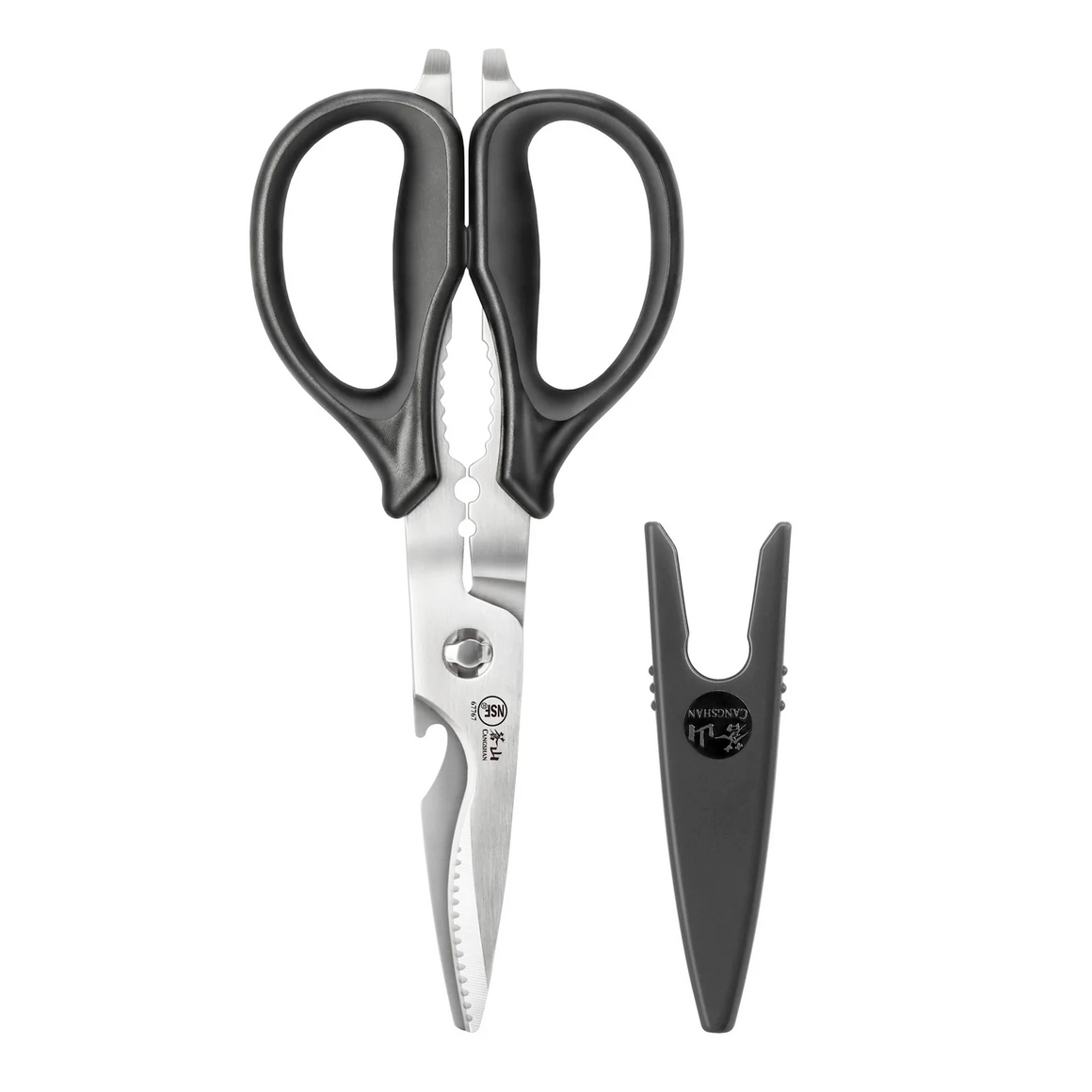 Common Housefly: Toy Store for Foodies